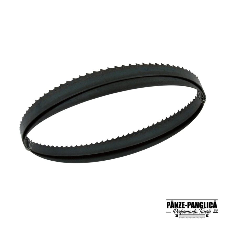 Panze panglica banzic TAMPLARIE - MASTER STRONG